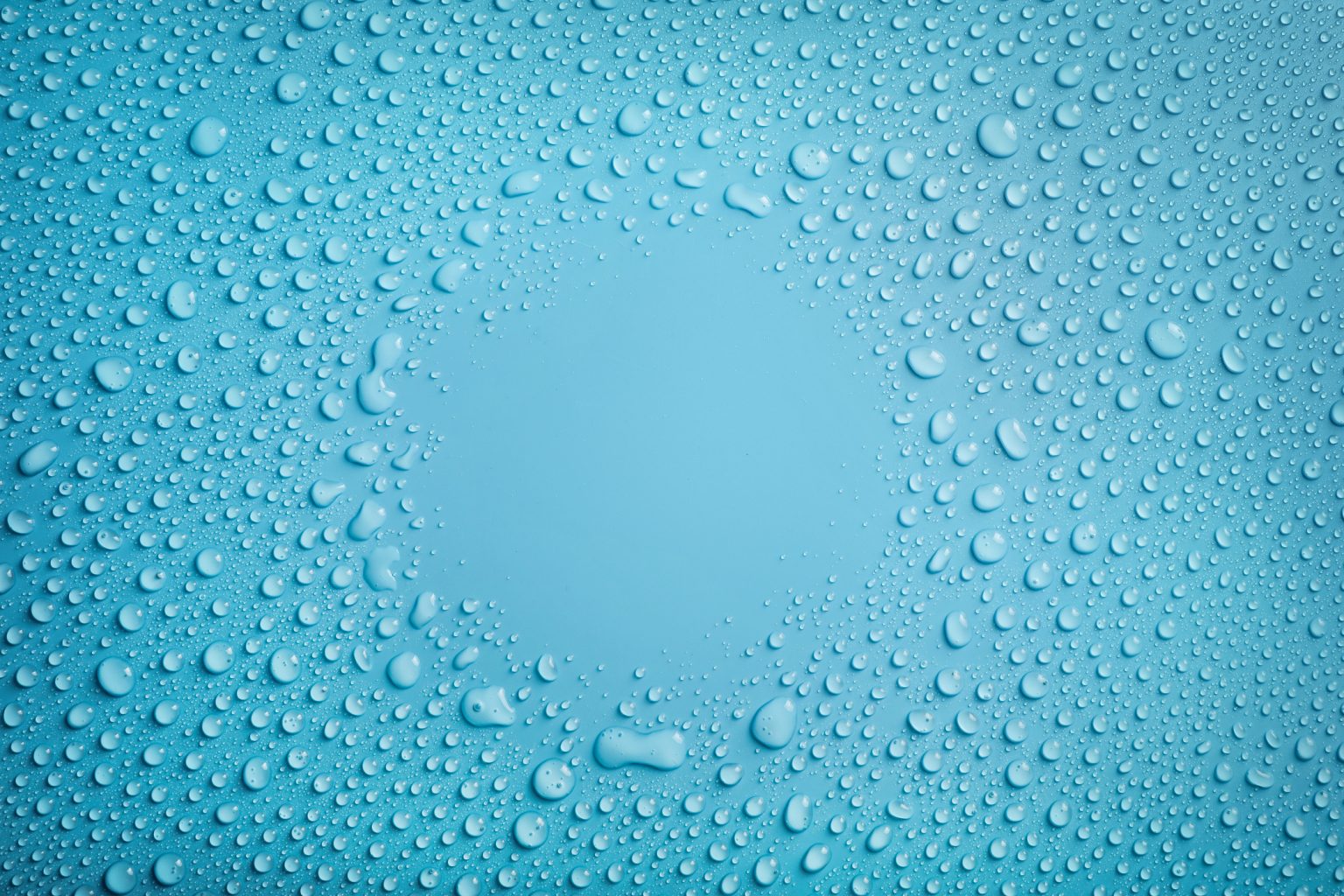 Achieve Unity in Your Landscape Design | Connecting the Dots